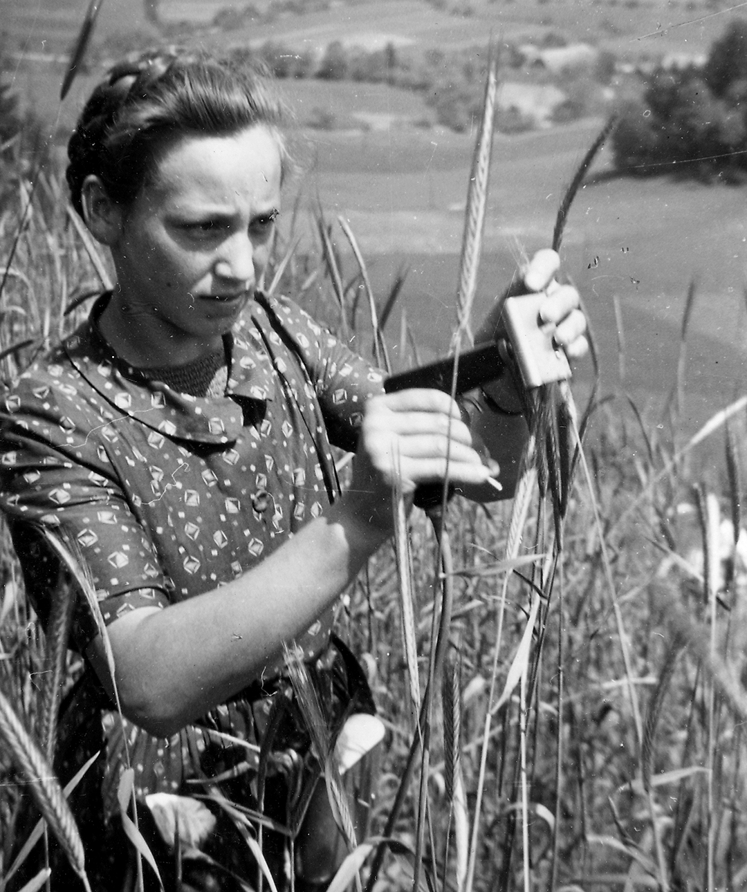 Auf Trip - Die Geschichte des LSD - Blog des Schweizerischen ...