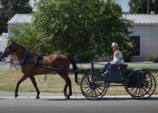 Swiss history - The emigrants and their love of the homeland