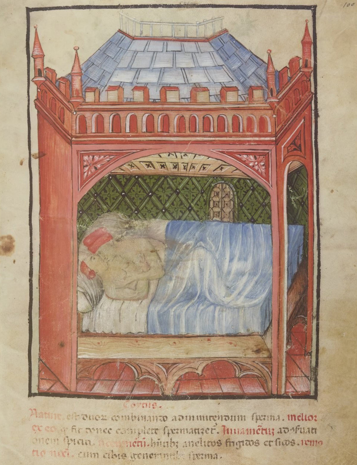 Sexuality in the Middle Ages – Swiss National Museum - Swiss history blog