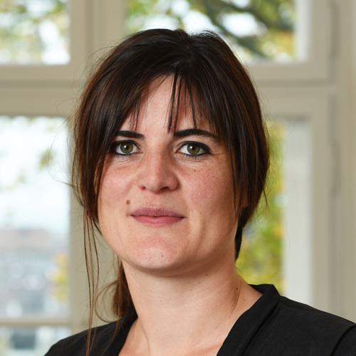 The Brünig-Napf-Reuss line: a cultural boundary through Switzerland ...