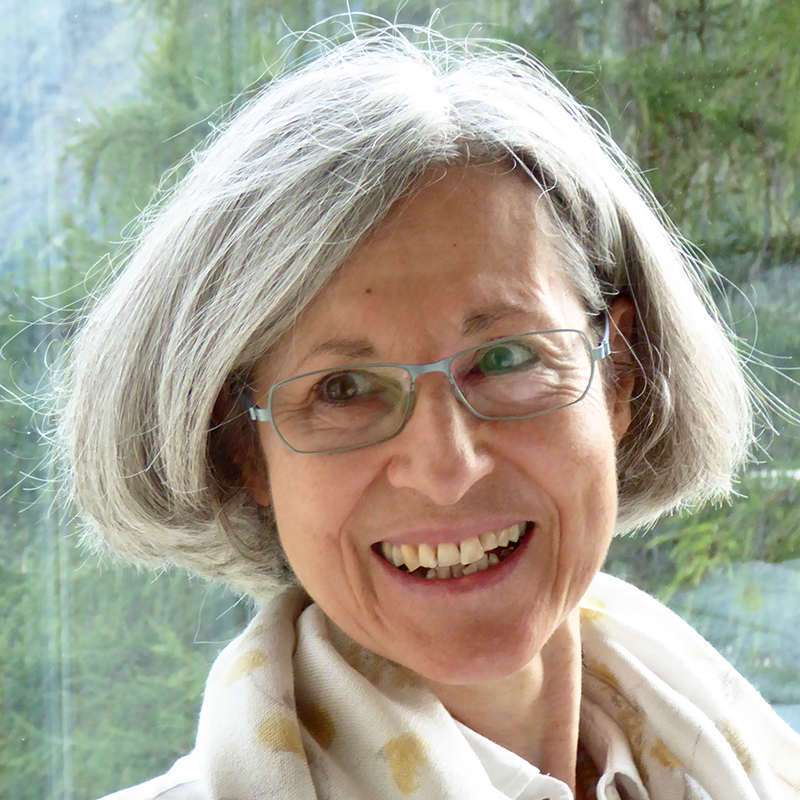 Feind der Luzerner Konservativen – Blog zur Schweizer Geschichte ...